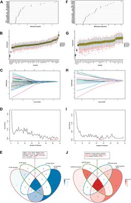 Frontiers | Uncovering the molecular mechanisms between heart failure and end-stage renal ...